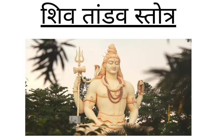 शिव तांडव स्तोत्रम् PDF - Download